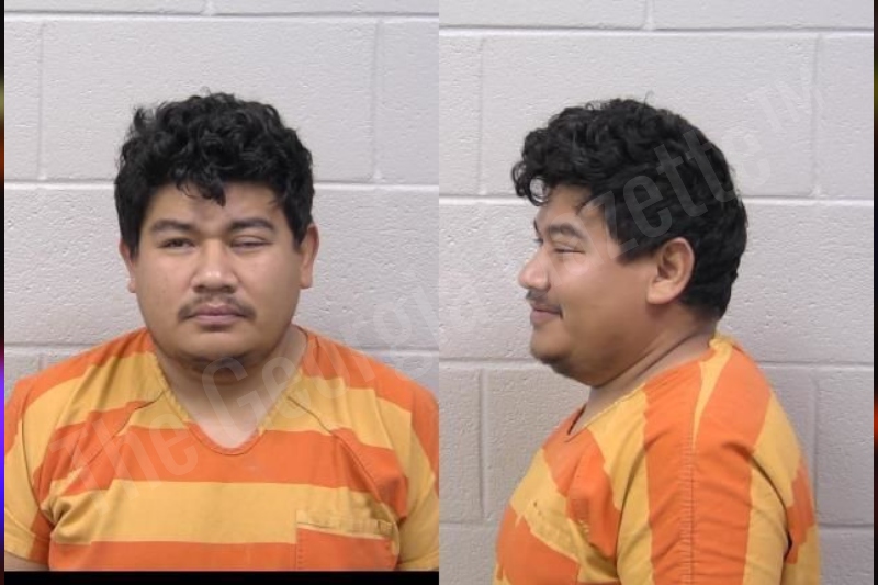 Alan Hernandez-Alvarez — Paulding County Jail Bookings