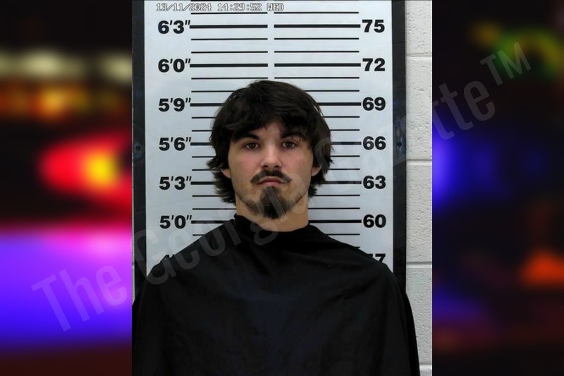Logan Hicks — Hart County Jail Bookings