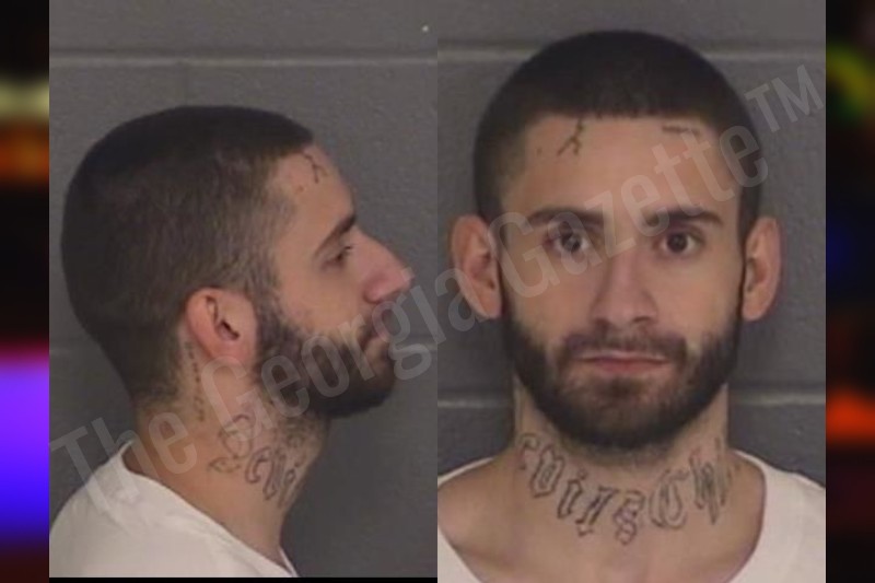 Ian Holbrook — Barrow County Jail Bookings