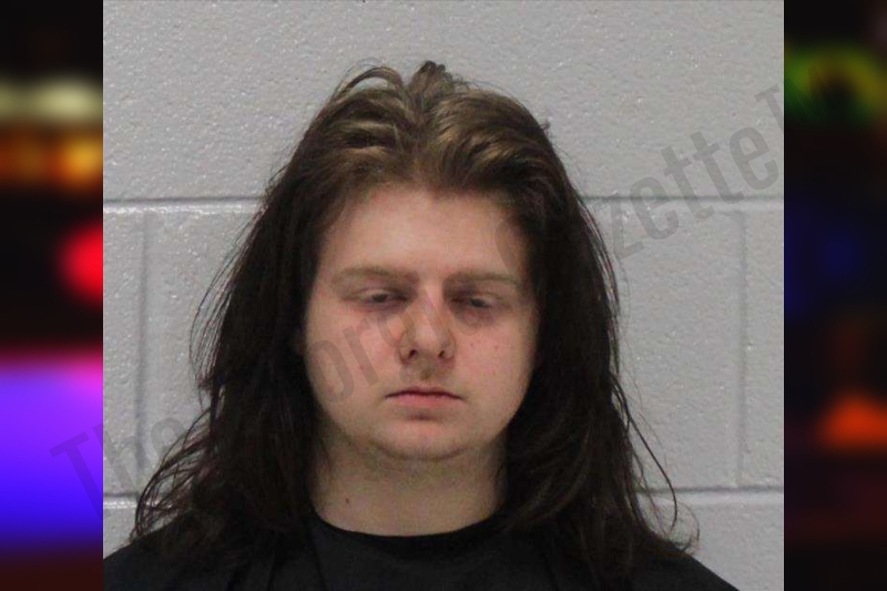 Hayden Jenkins — Carroll County Jail Bookings