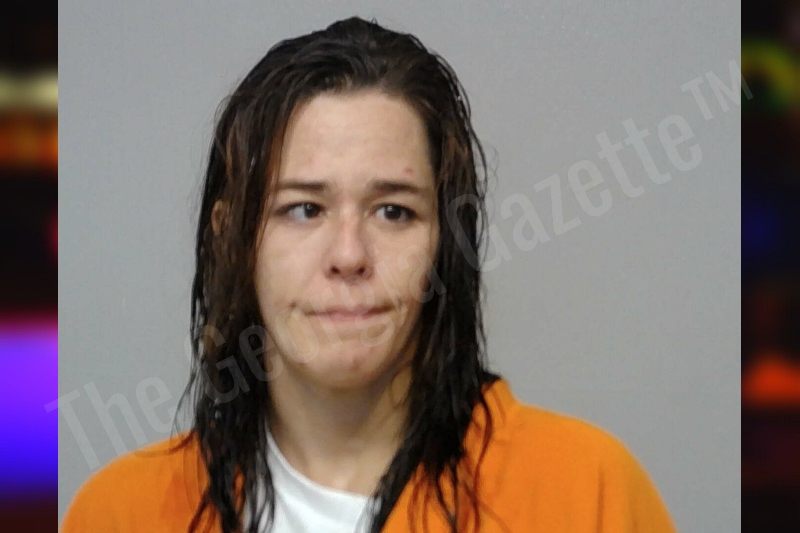 Krystal Wilson — Bibb County Jail Bookings