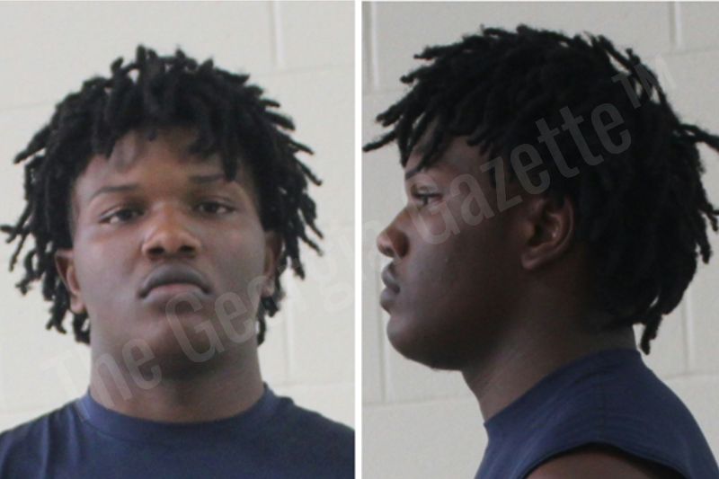 Javeaughn Ladson — Houston County Jail Bookings