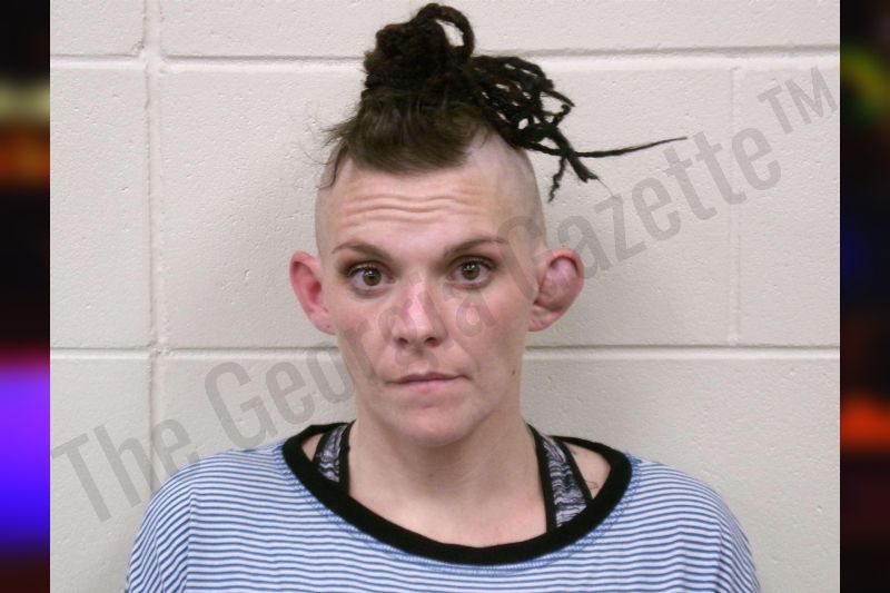 Tonya Lapka — Bulloch County Jail Bookings