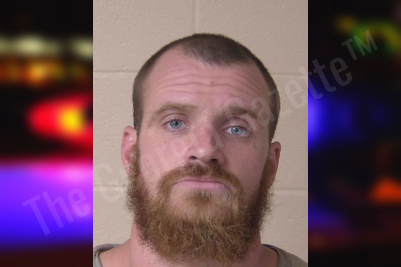 Andrew Locke — Walker County Jail Bookings