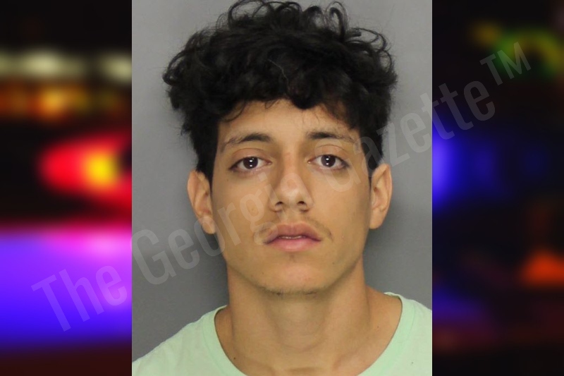 David Mathes — Cobb County Jail Bookings