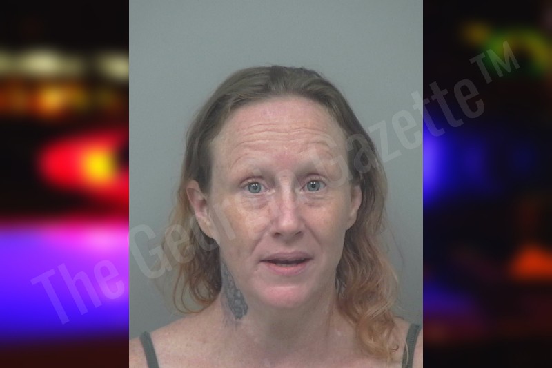 Julie McCay — Gwinnett County Jail Bookings