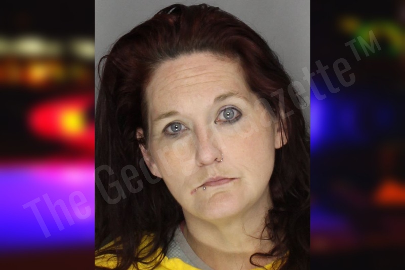 Elizabeth McLane — Cobb County Jail Bookings