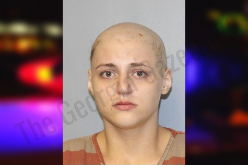 Payton Mitchell — Hall County Jail Bookings