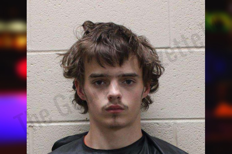 Kalem Mobley — Haralson County Jail Bookings