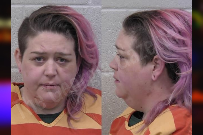 Carolyn Minchew — Paulding County Jail Bookings