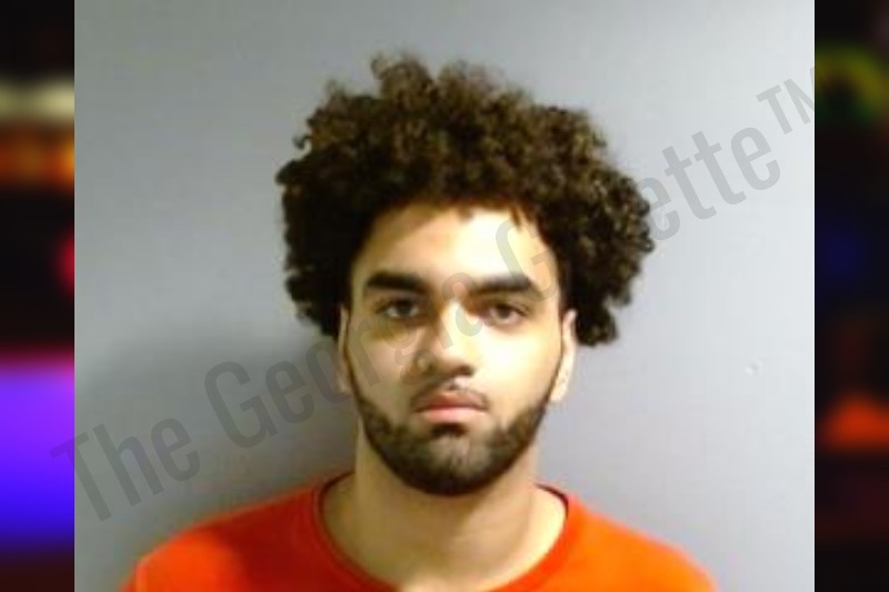 Camden Partington — Fulton County Jail Bookings