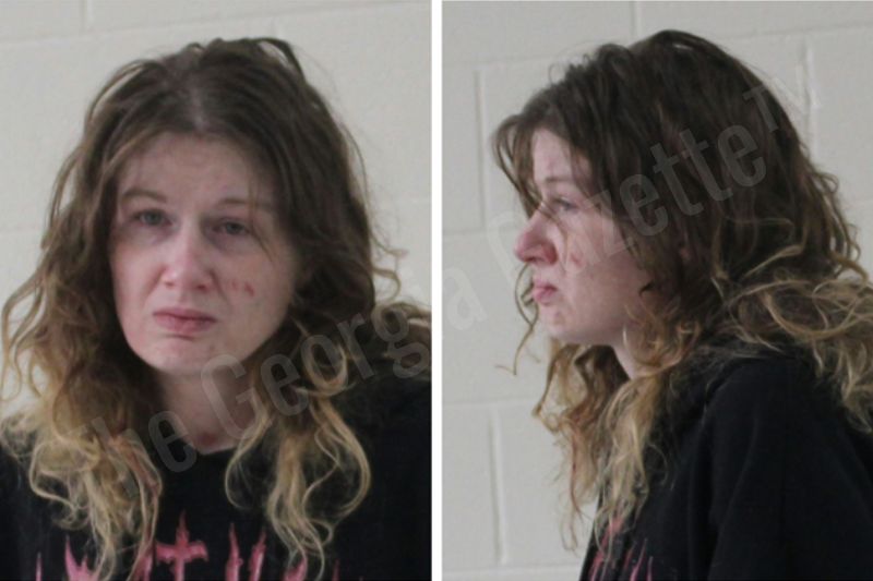 Rhianon Paisley — Houston County Jail Bookings