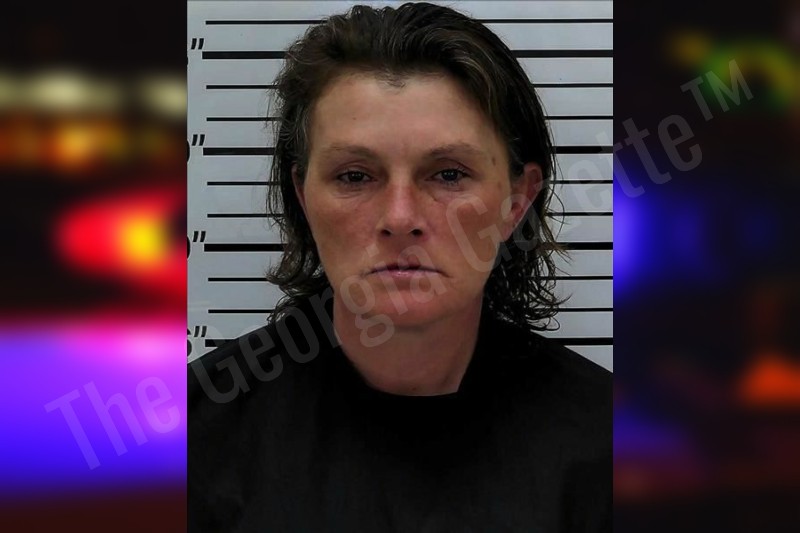 Valerie Ramsey — Hart County Jail Bookings