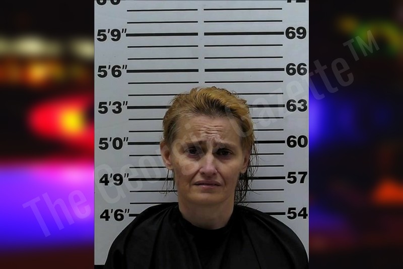 Vanessa Reed — Hart County Jail Bookings