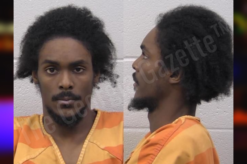 Dejon Riley — Paulding County Jail Bookings