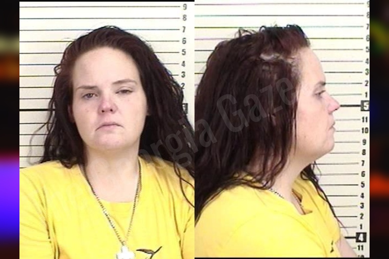 Megan Robinson — Camden County Jail Bookings