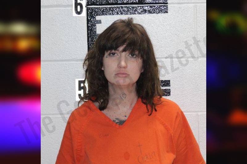 Amber Rountree — Murray County Jail Bookings