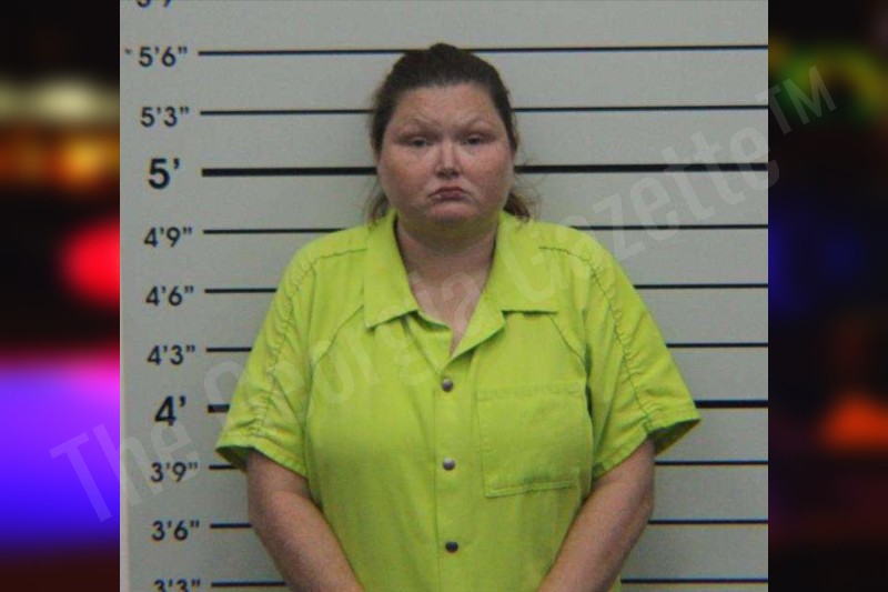 Julie Shirley — Turner County Jail Bookings