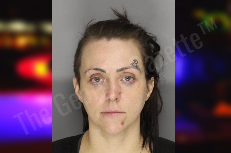 Shawna Stephens — Cobb County Jail Bookings