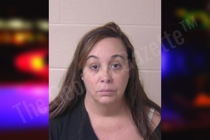 Robyn Shirley — Walker County Jail Bookings