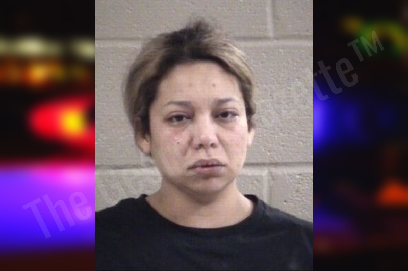 Laura Silva — Whitfield County Jail Bookings