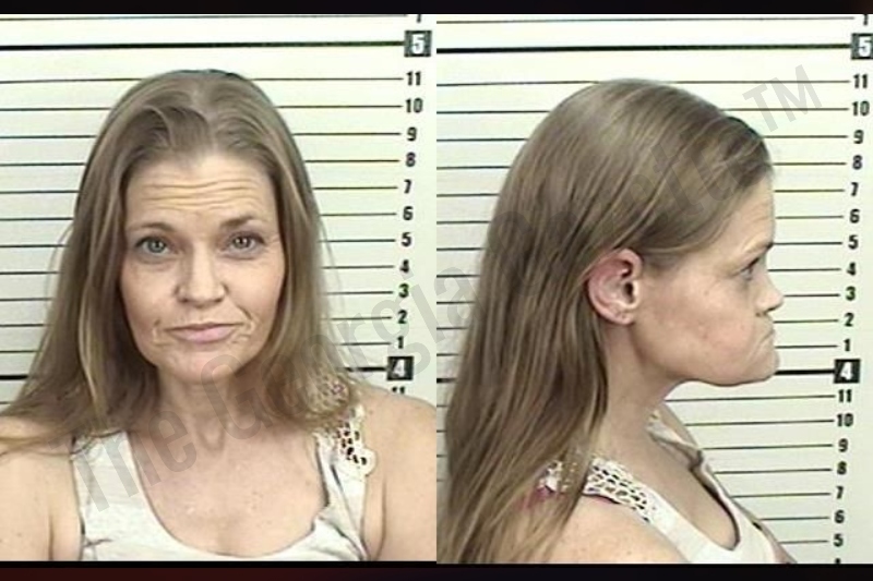 Angela Smith — Camden County Jail Bookings