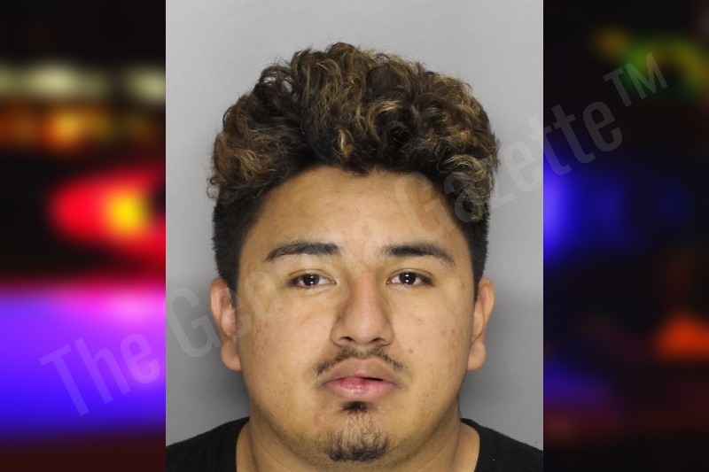 Hugo Tenient — Cobb County Jail Bookings