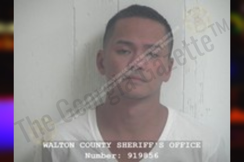 Jeffrey Tseng — Walton County Jail Bookings