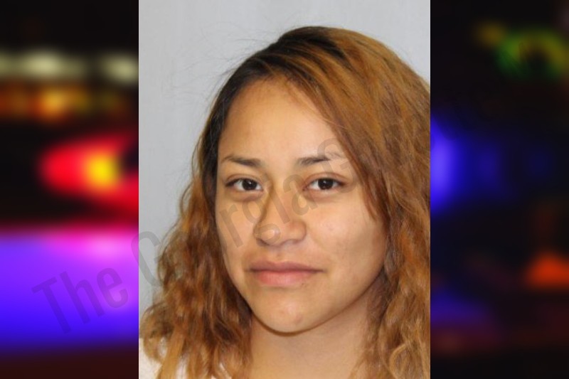 Evelyn Vega — Hall County Jail Bookings