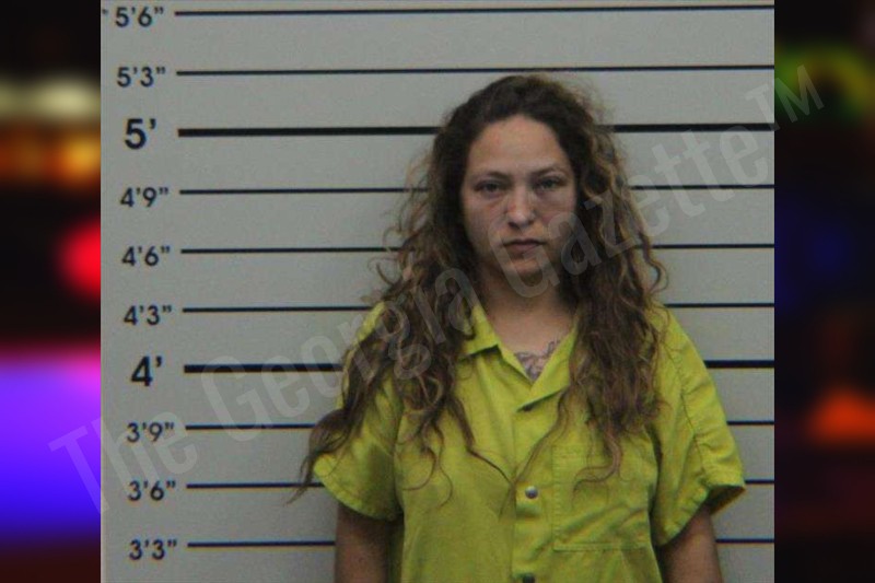 Chelsea Whitehead — Turner County Jail Bookings