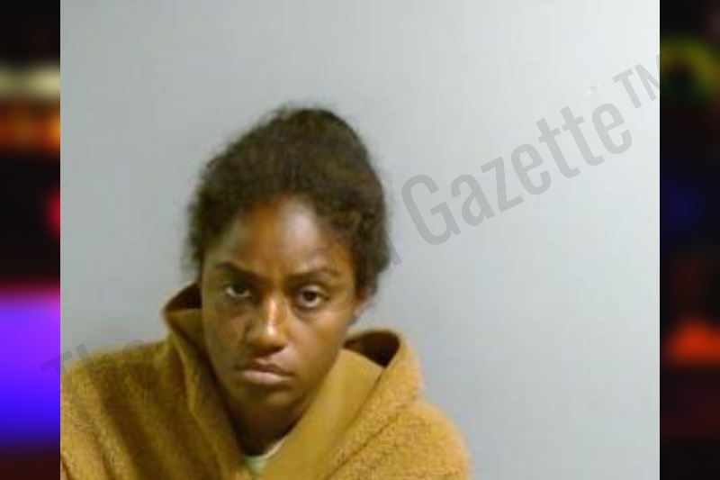 Gabrielle Williams — Fulton County Jail Bookings