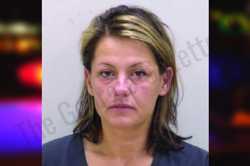 Heather Williams — Bartow County Jail Bookings
