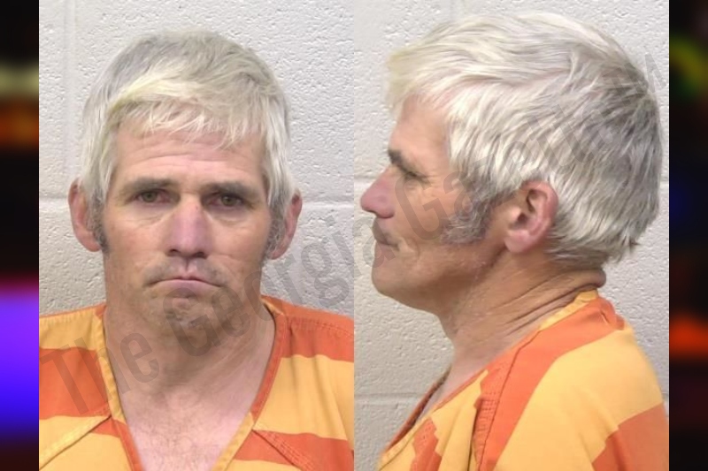 Timothy Adams — Paulding County Jail Bookings