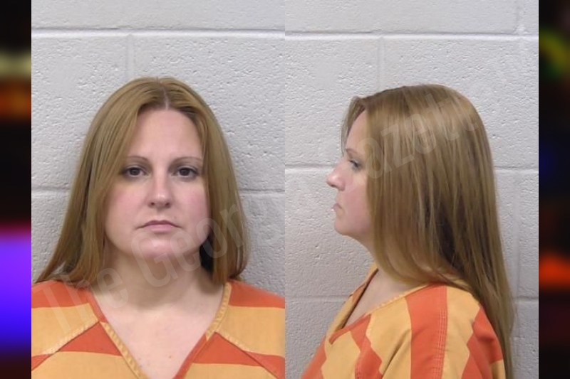Mindy Ardito — Paulding County Jail Bookings