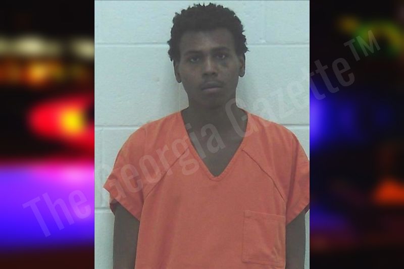 Amori Austin — Worth County Jail Bookings