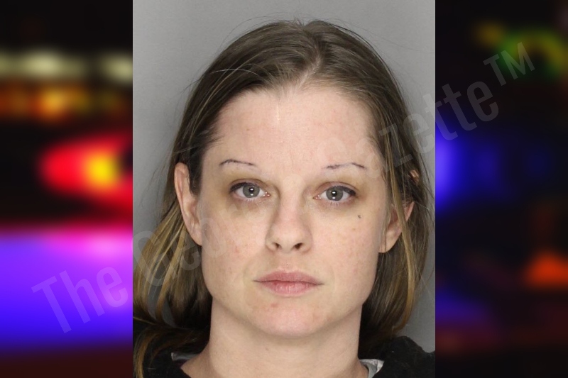Kimberly Bounds — Cobb County Jail Bookings