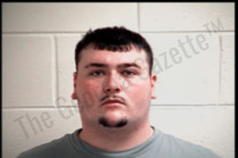 Logan Cagle — Henry County Jail Bookings