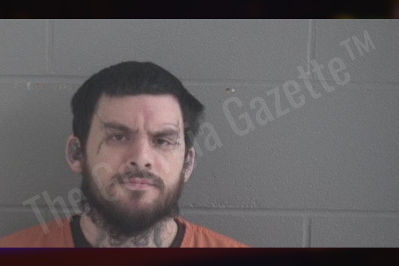 Devin Cargile — Brantley County Jail Bookings