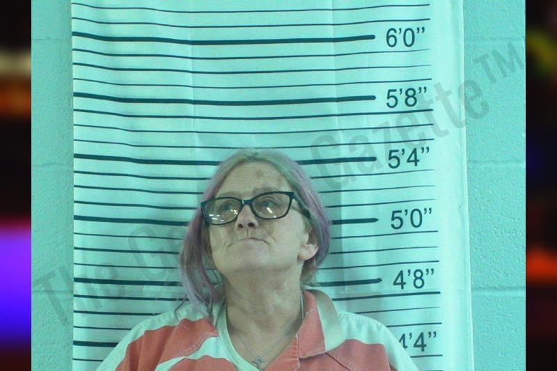 Sherry Combs — Stephens County Jail Bookings