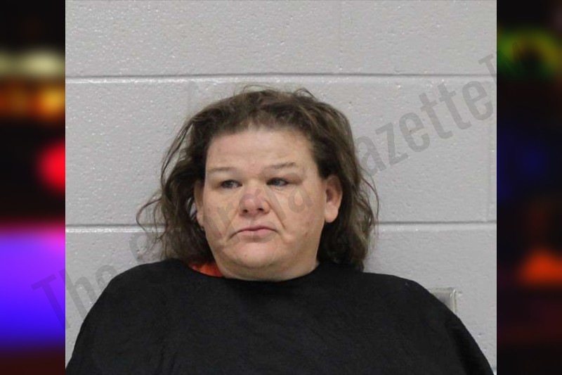 Amy Cook — Carroll County Jail Bookings