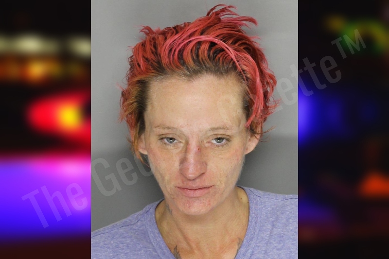 Arlene Cook — Cobb County Jail Bookings