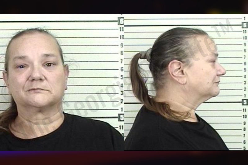 Sandy Clark — Camden County Jail Bookings