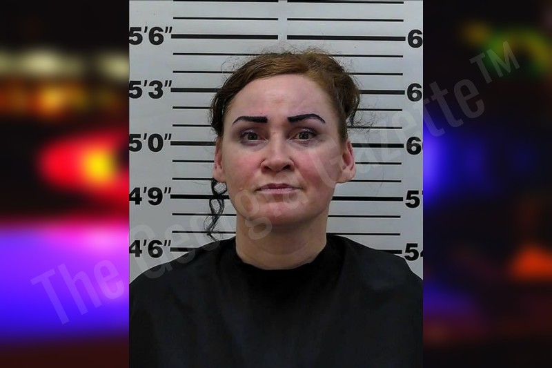Jessica Collier — Hart County Jail Bookings