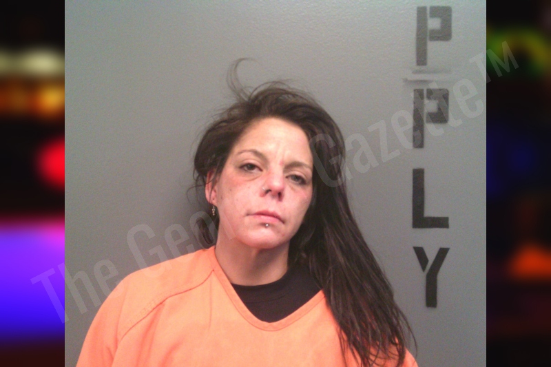 Mindy Collins — Lumpkin County Jail Bookings