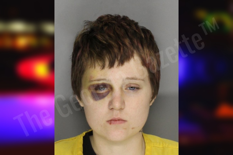 Hailey Day — Cobb County Jail Bookings