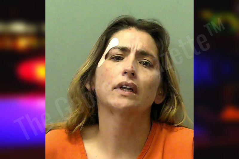 Nicole Davis — Towns County Jail Bookings