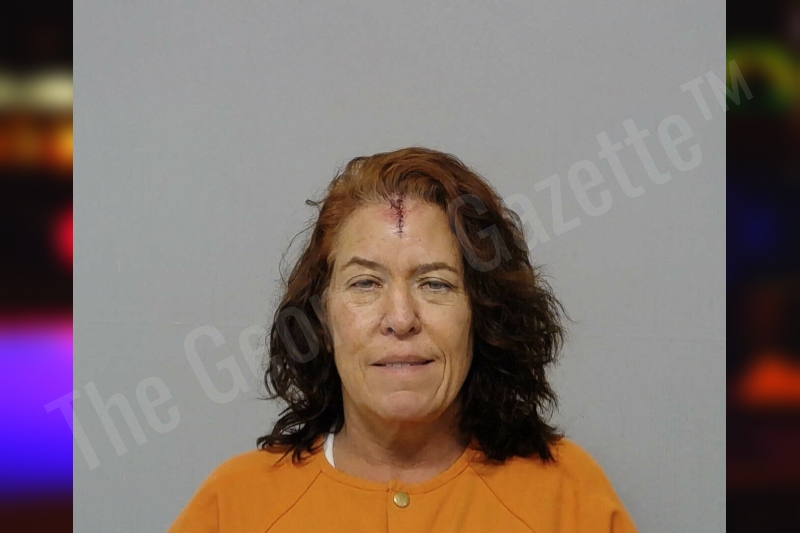 Dawn Borges — Bibb County Jail Bookings