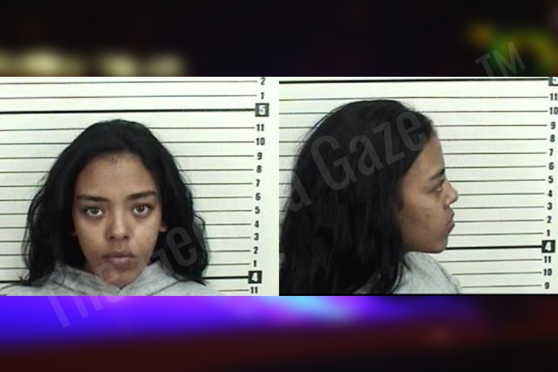 Kidist Demko — Camden County Jail Bookings