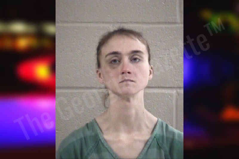 Brandy Dickinson — Whitfield County Jail Bookings
