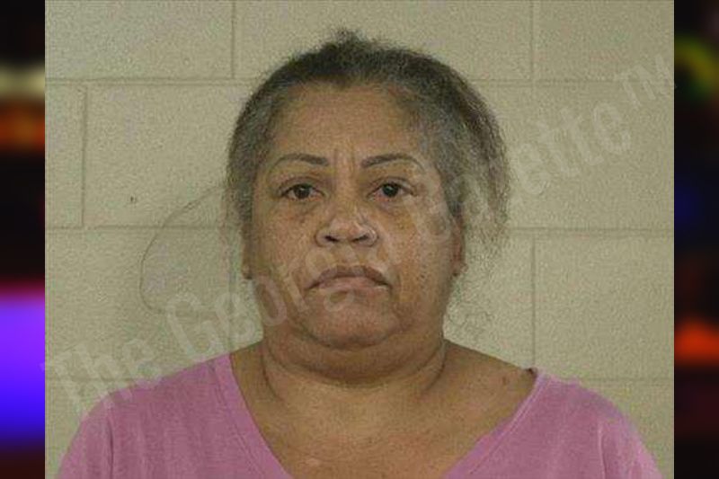 Elizabeth Ervin — Liberty County Jail Bookings